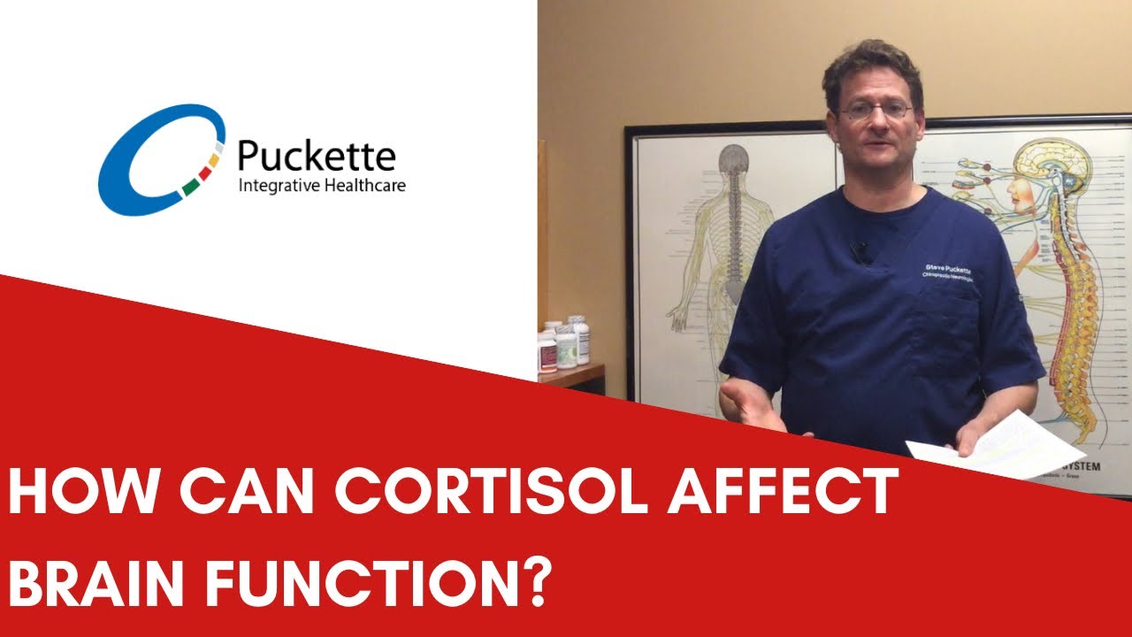 How Cortisol Affects Brain Function - YouTube