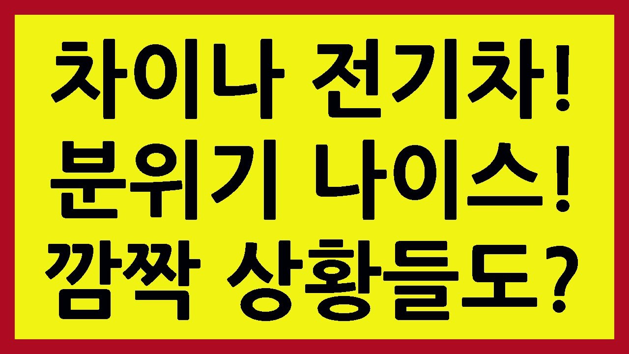 차이나 전기차 Solactive 주가 전망 타이거 Tiger Etf 레버리지 중국 2차전지 배터리 주식 장기 투자 장투 단타