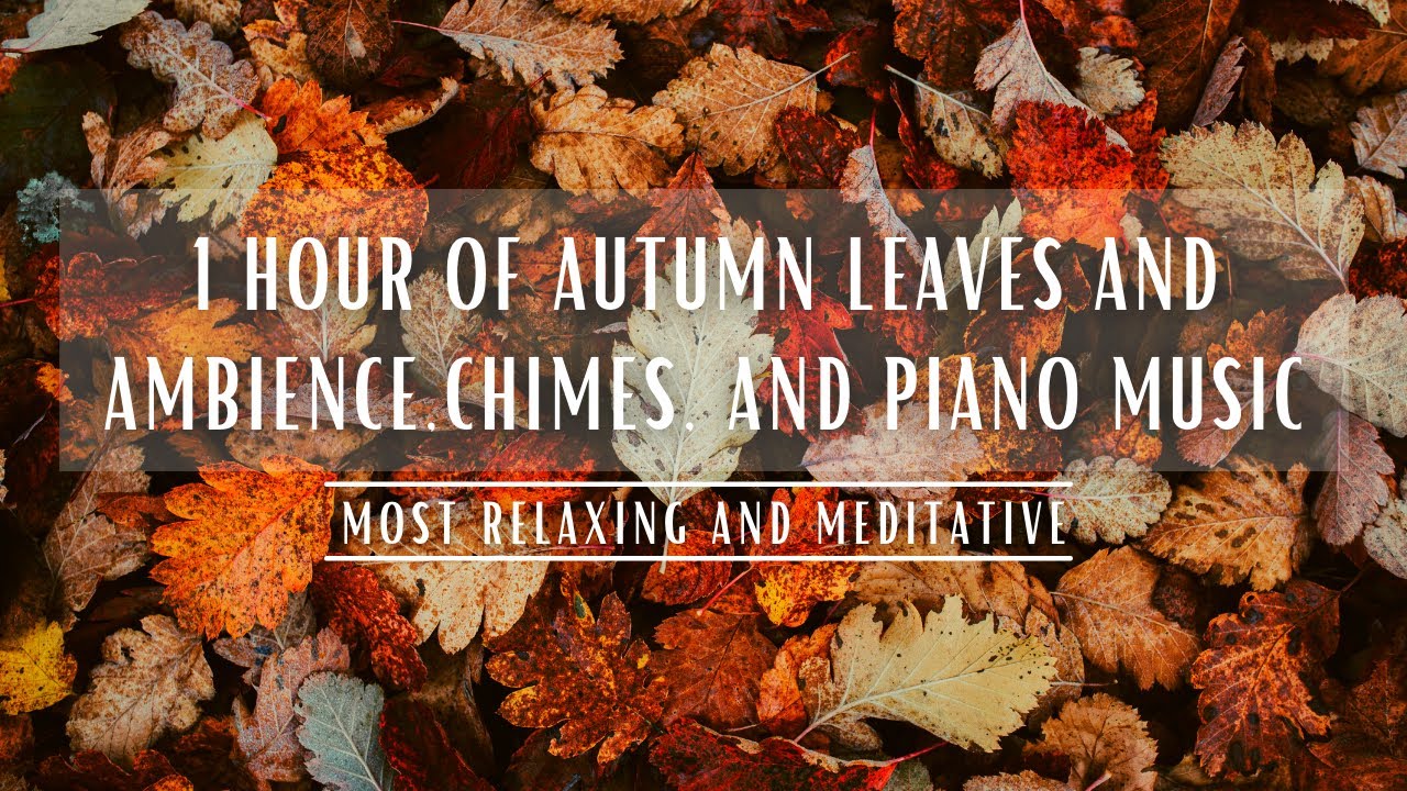 Autumn Ambience Colorful Leaves, Fall Picnic, Running Water, Birds ...