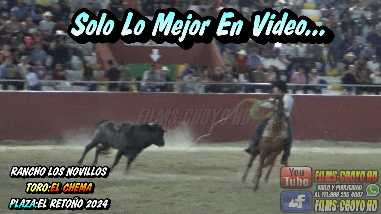 TORO EL CHEMA EN LA PLAZA DE TOROS EL RETOÑO 2024 - YouTube