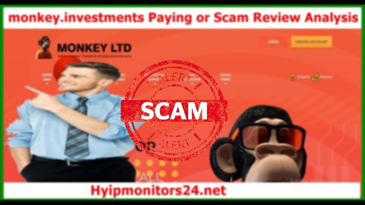 monkey.investments Paying or Scam Review Analysis - YouTube