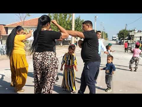 ROMAN DÜĞÜNÜ YAŞAR KOÇYİĞİT & DURMUŞ ALİ ŞEŞEN, BACANAKLAR YAPIYORLAR BU SPORU