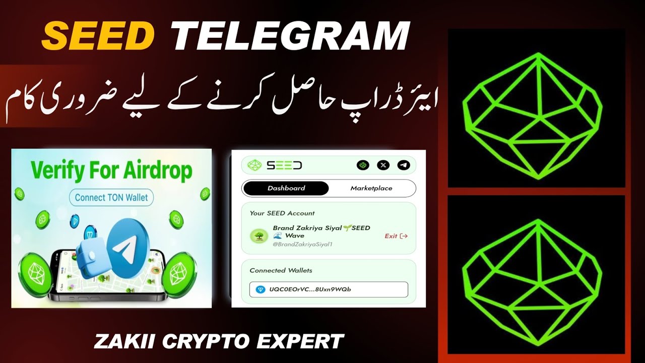 Seed Telegram bot Eligible for Airdrop compelete 2 task in website 🤑 ...