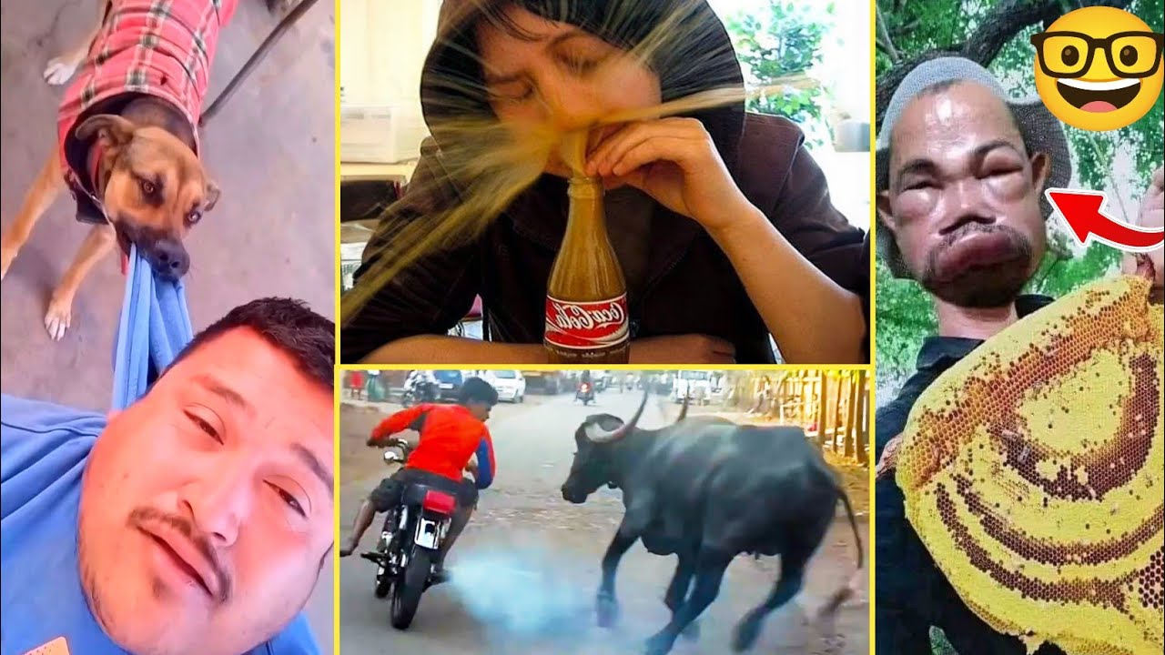 Random funny videos and Memes 😂 Most Funny Videos on internet 😜 Ep:-08 ...