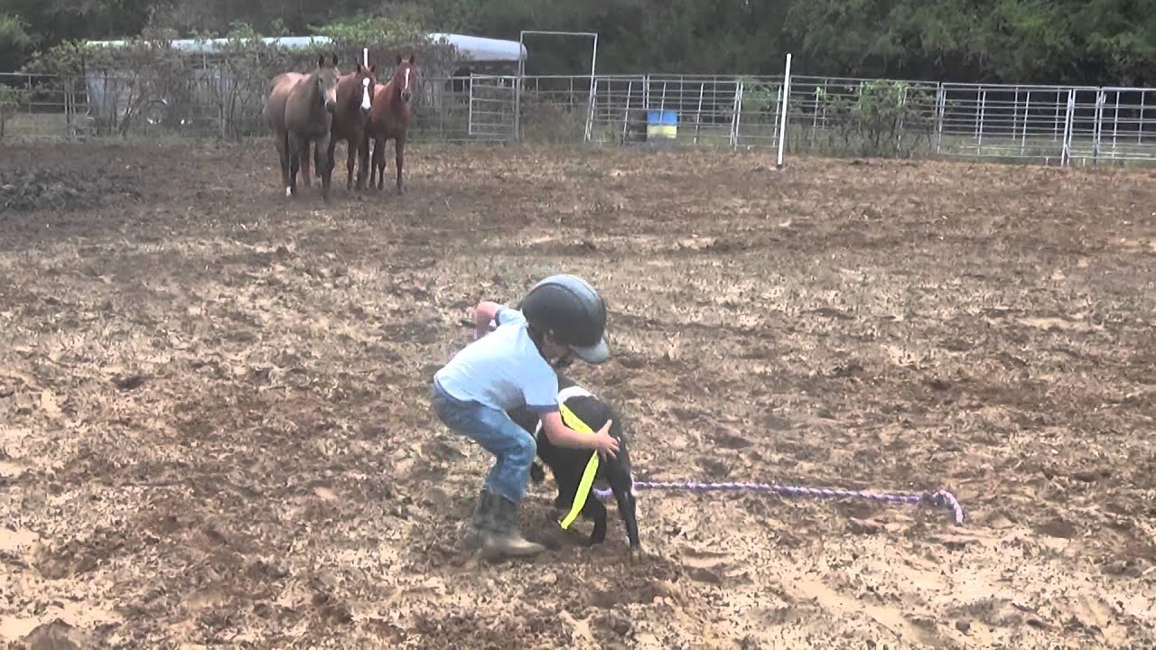 10-31-15 Goat Tail Untying - YouTube