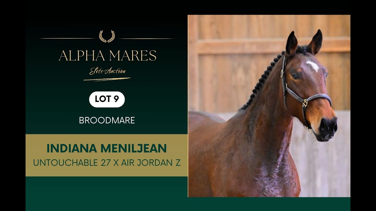 Alpha Mares Auction - Elite Broodmares - Lot 9 - YouTube