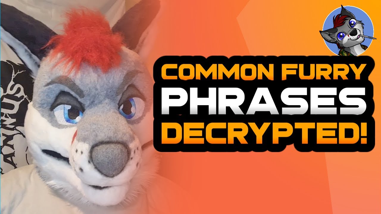 Common Furry Phrases Decoded! Shrapnel's guide to Furry Lingo - YouTube