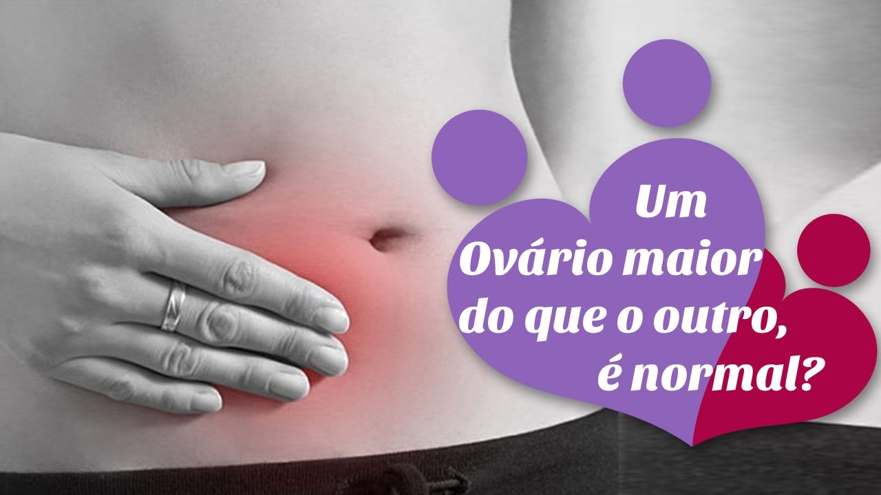 Um Ov rio Maior Que O Outro Normal YouTube