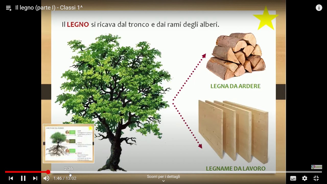 1 LEGNO LEGNA E LEGNAME - YouTube