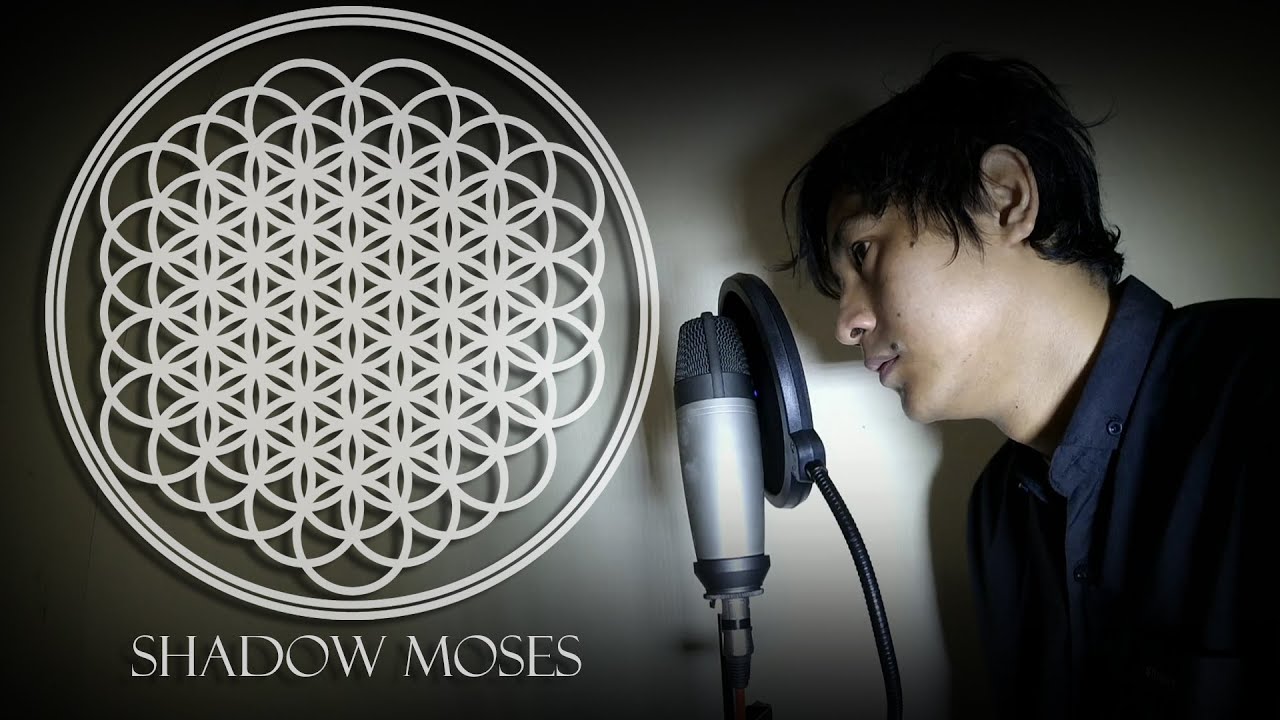 Bring Me The Horizon - Shadow Moses (cover) - YouTube