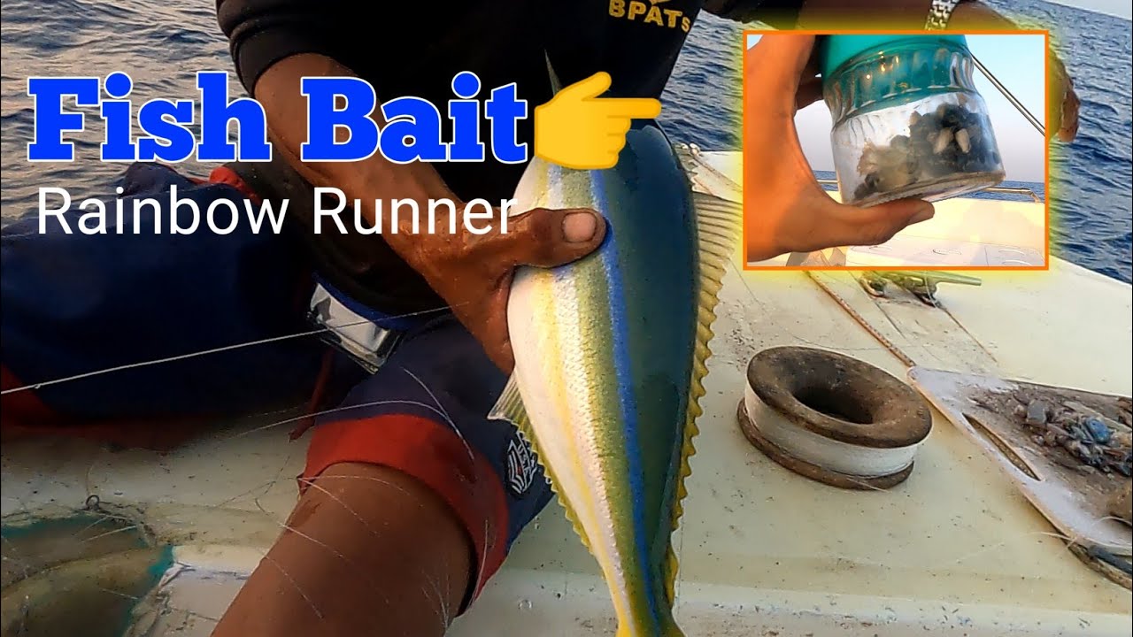 Rainbow Runner in the West Philippine Sea| Casa Lilibelle Beachfront ...
