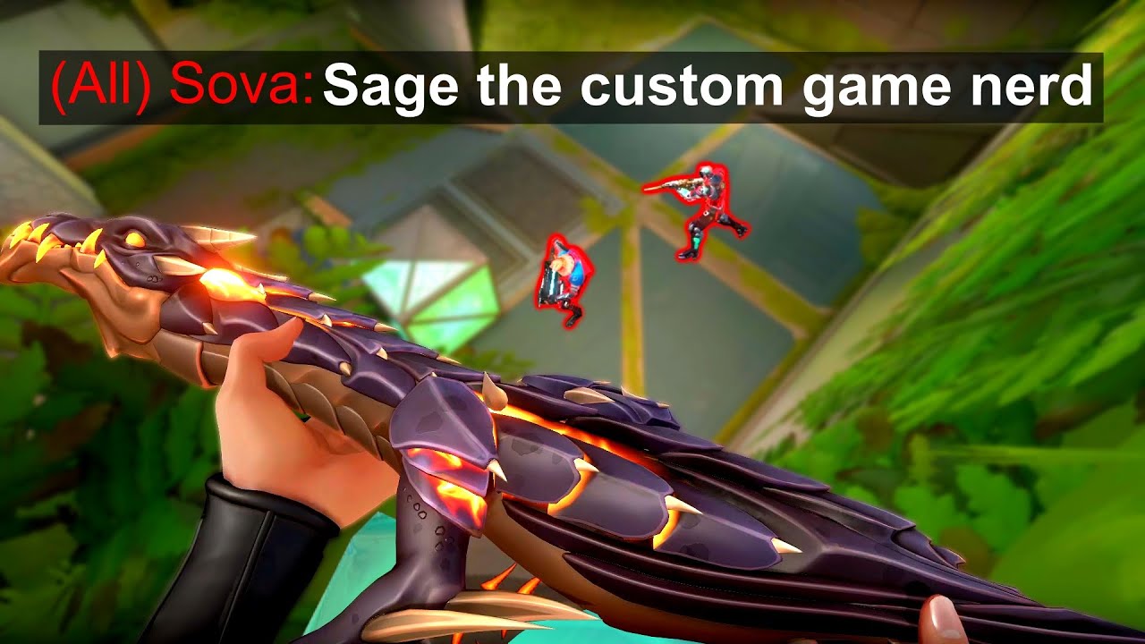 "Sage has 1000 hours in custom game" - YouTube