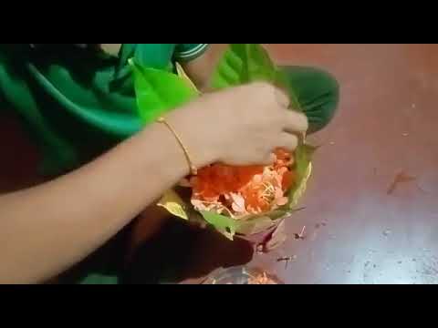 flower👉 bokke 💝💝created short video👍 - YouTube