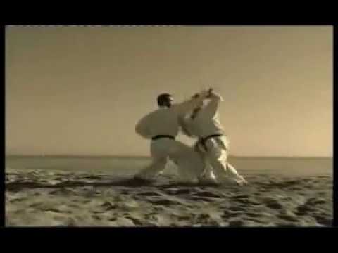 Шотокай -  Энергетическое Каратэ