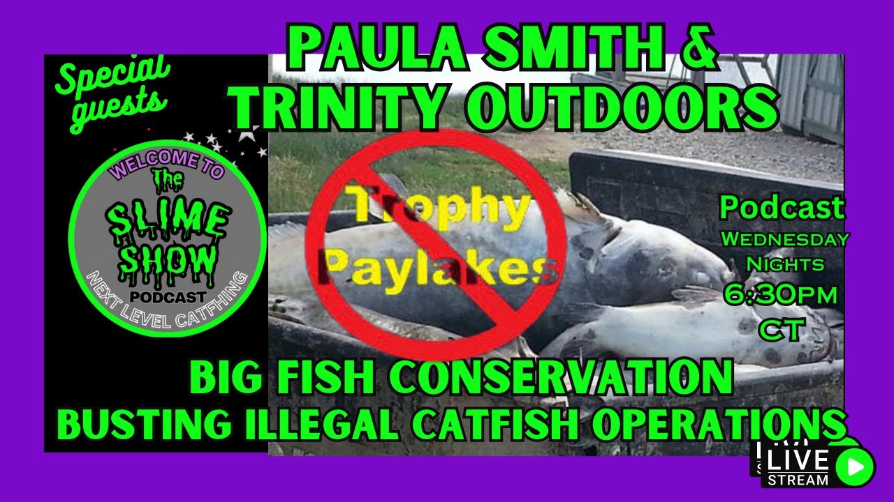 The Slime Show Catfishing Podcast 64 - Busting Illegal Catfish ...