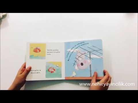 MİNİK KAOLA AĞACINI ARIYOR