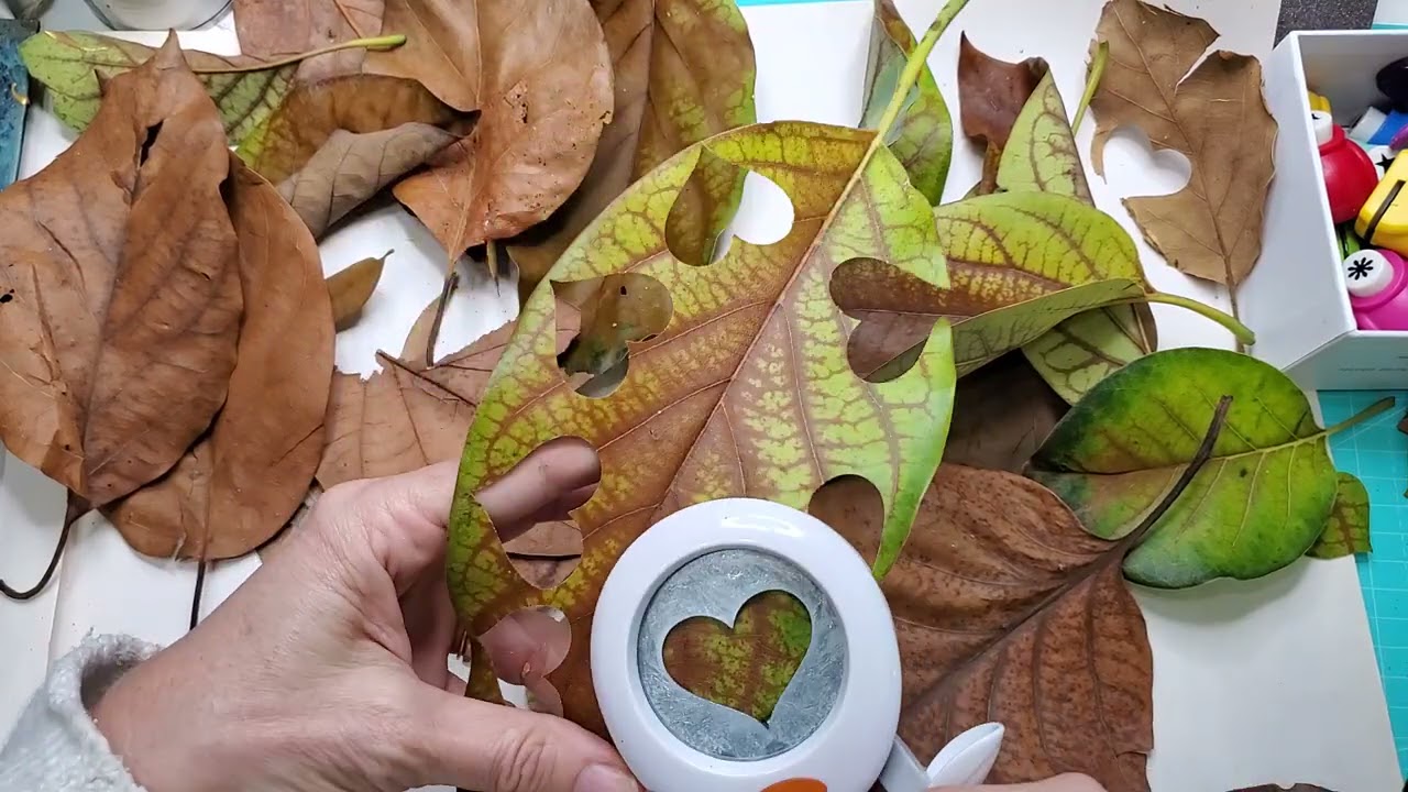 LEAF PUNCHING? For Nature Junk Journals?! Really? So Easy and Fun! The ...
