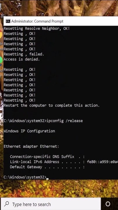Wifi connected but no internet access ( 2025 ) | How to Fix internet not working on windows 10 ...