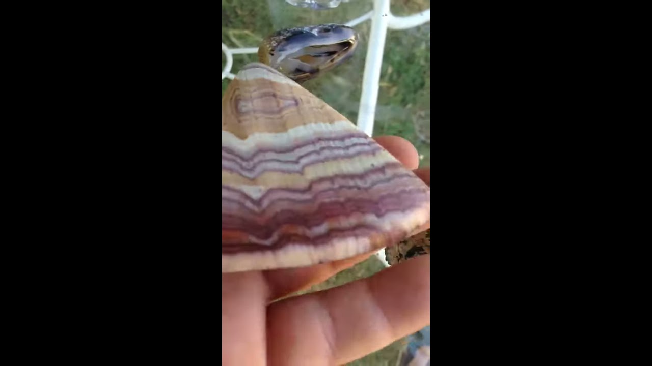 Wonderstone - YouTube