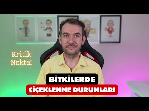 Kısa Gün Uzun Gün Bitkilerindeki Çiçeklenme Durumları