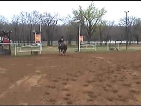 Rios First Flit Bar Stallion - YouTube