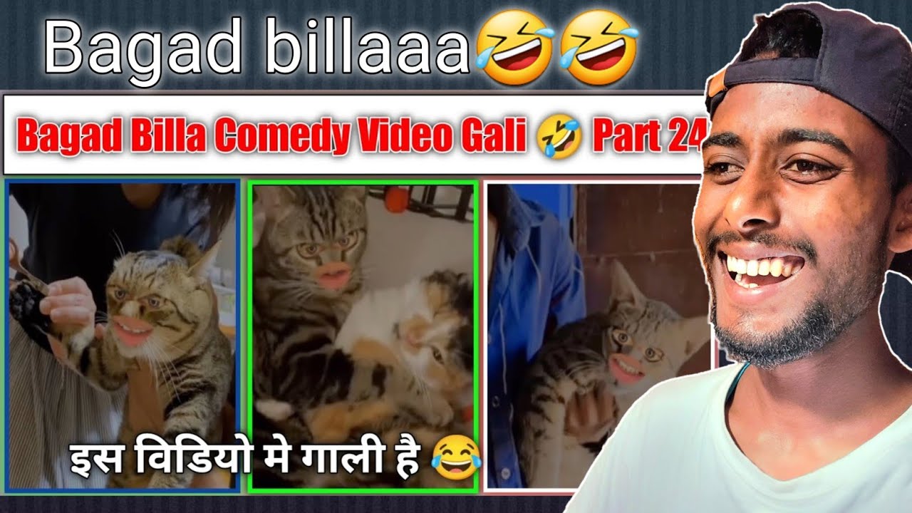 Bagad billa funny video ever😂🤣🤣 // rafi bhai reaction// - YouTube