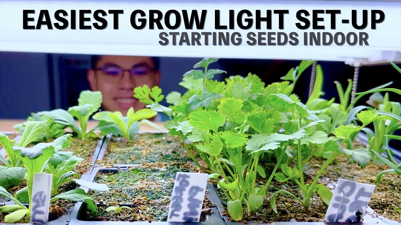 Seed Starting Indoors in March | Easy Grow Light Set Up for Seedlings ...