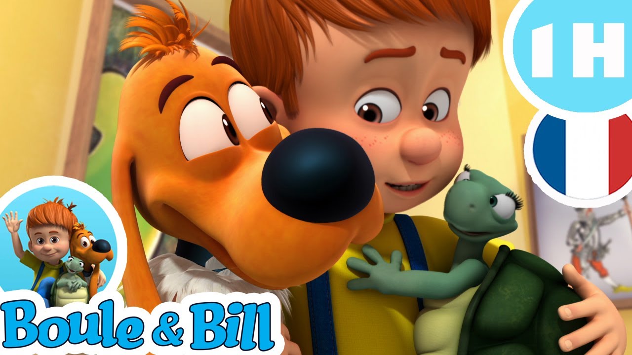 💚Boule et Bill s'adorent!🧡 - Nouvelle Compilation FR - YouTube
