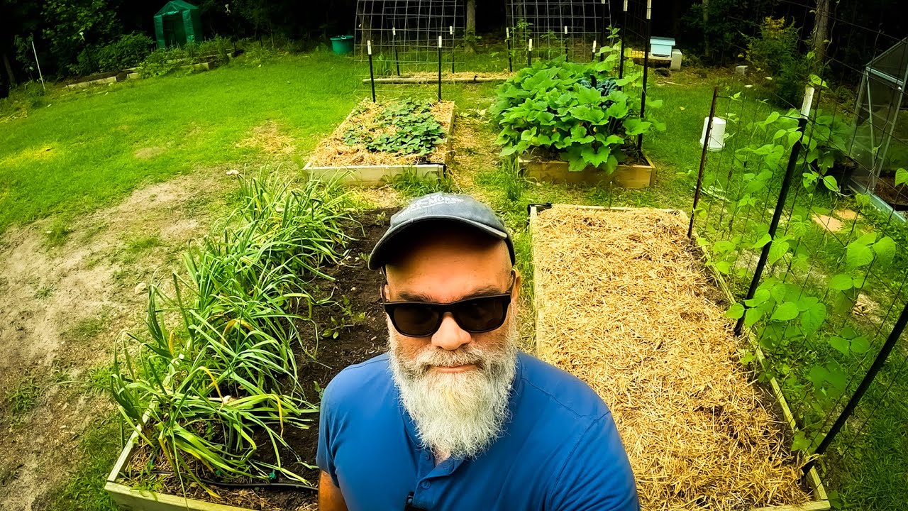 Planting for a self sustainable homestead - YouTube