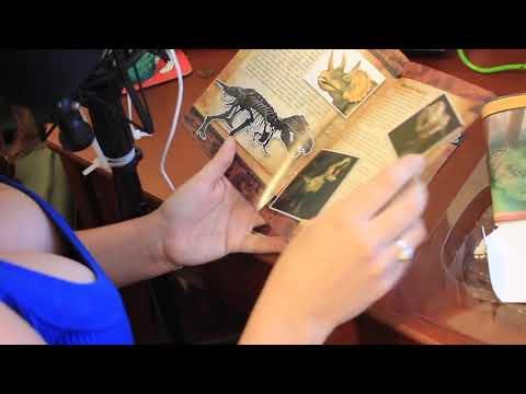 ASMR  Dinosaur Excavation Hailey Whispering Rose [DELETED]