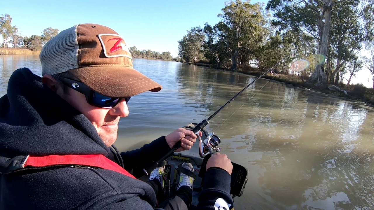 Murray River Callop - YouTube