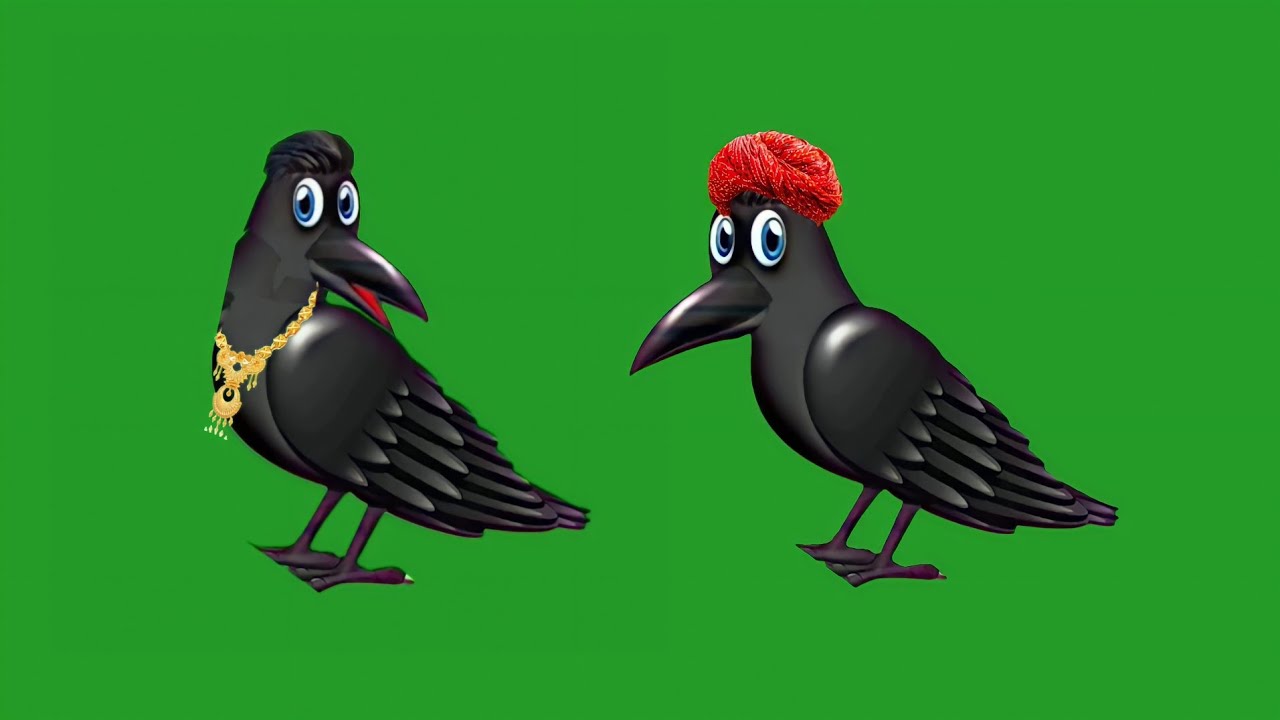 green screen crow/kale cowa green screen/crow birds fly green screen ...