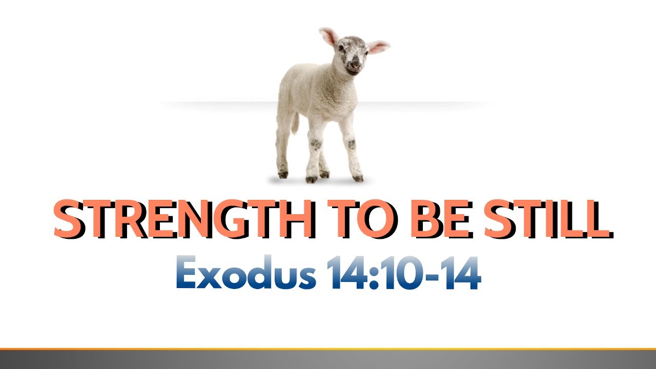GCC Canvas - Strength to Be Still (Exodus 14:10-14) - 12/12/2021 ...