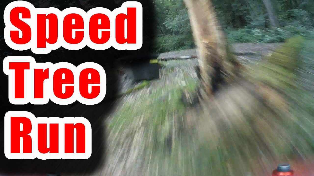 Speed Run in the Trees - YouTube