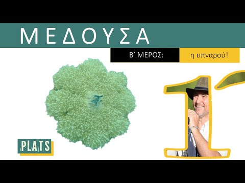 ΜΕΔΟΥΣΑ η υπναρού! (β' μέρος) - YouTube