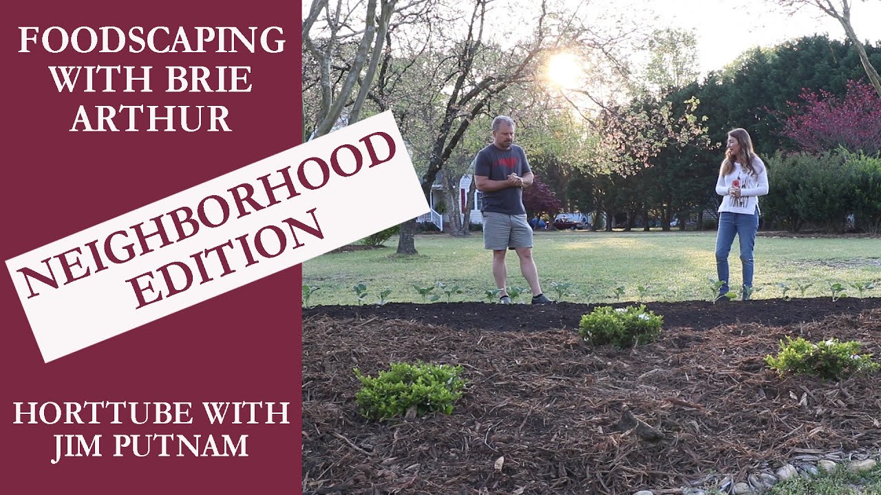 Foodscaping with Brie Arthur - Neighborhood Edition - YouTube