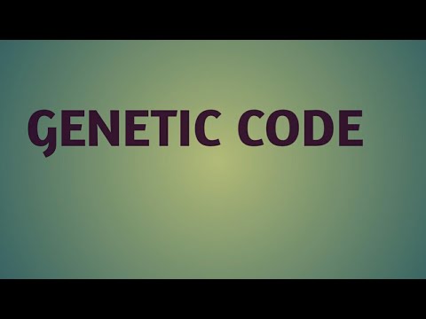 Genetic Code of Class 12 - Molecular basis of inheritance - YouTube