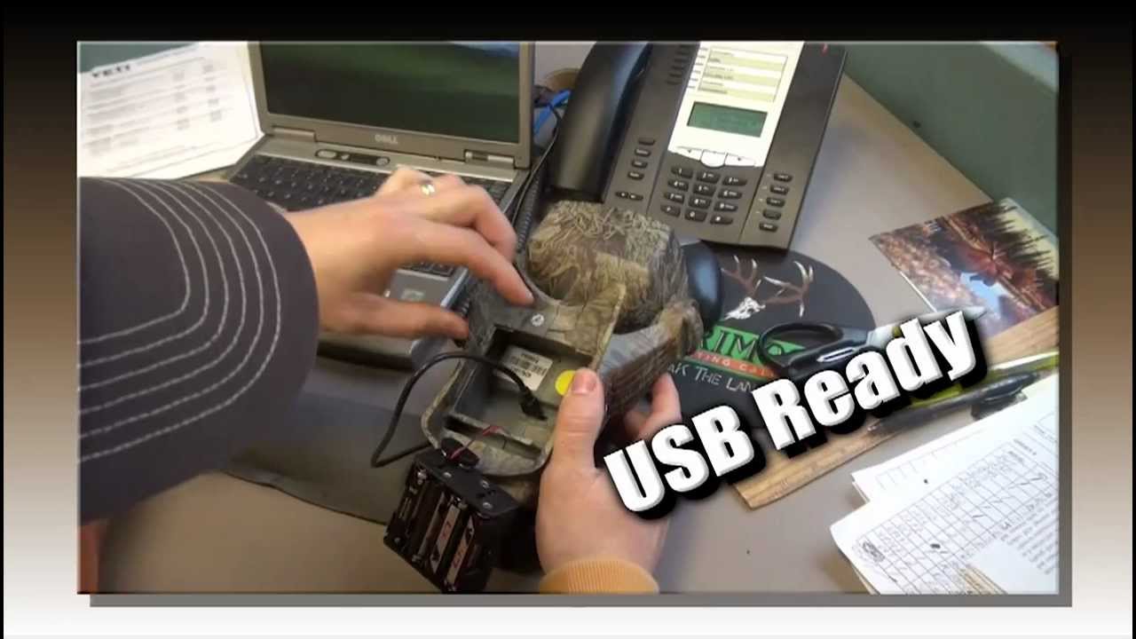 Primos Turbo Dogg.mp4 - YouTube