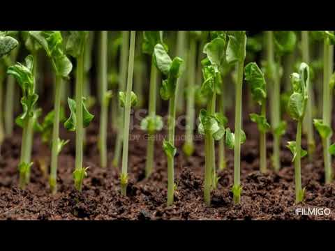 Hep yanında olacağım söz müzik ismail durak