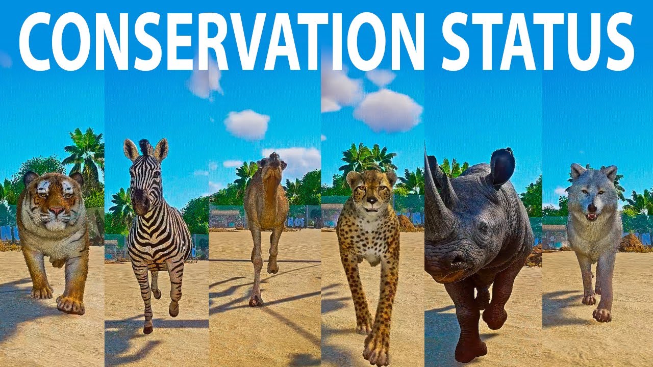 Animals by Conservation Status Speed Races in Planet Zoo included Wolf ...