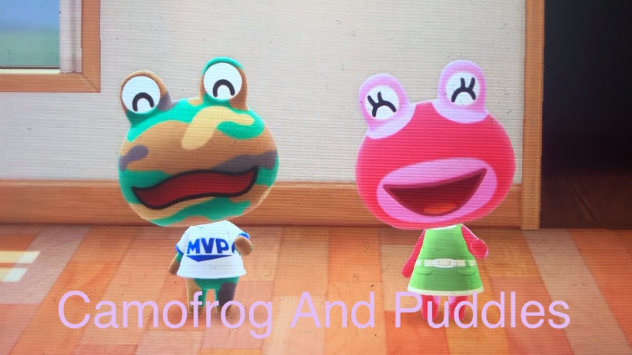 Animal Crossing New Horizons - Camofrog And Puddles - YouTube