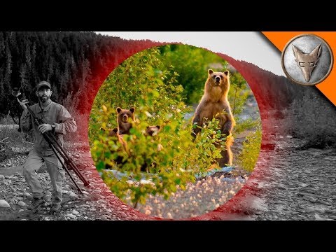 ОПАСНАЯ ВСТРЕЧА с МЕДВЕДИЦЕЙ и МЕДВЕЖАТАМИ.