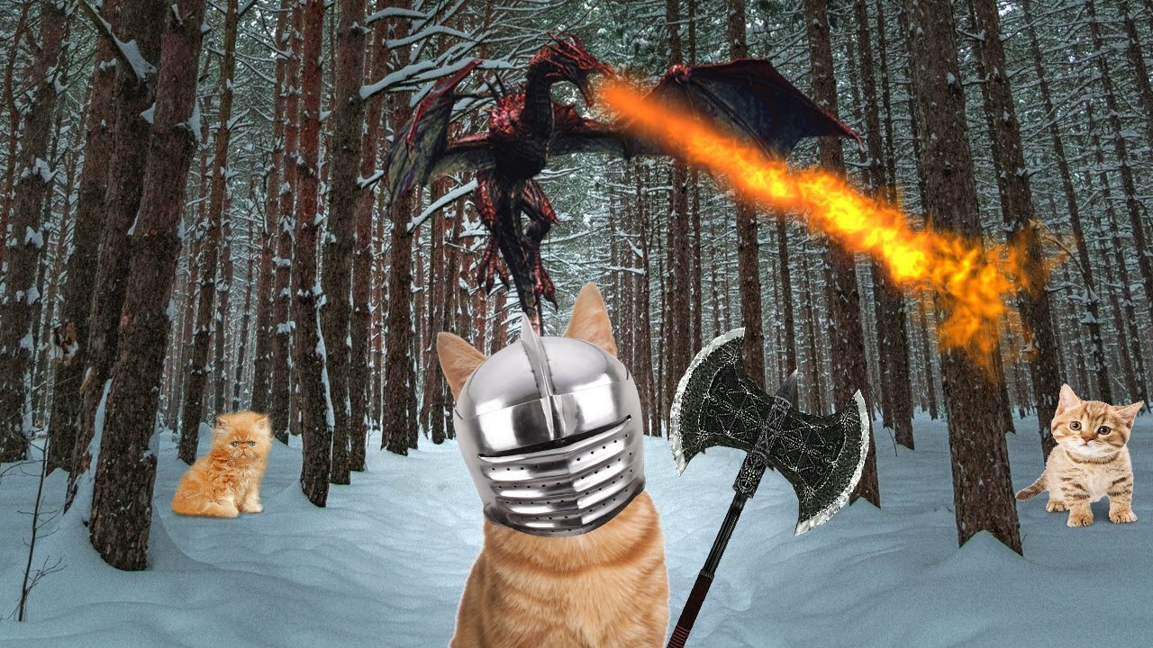 Skyrim | Kitty Picks Orc?!?! - YouTube