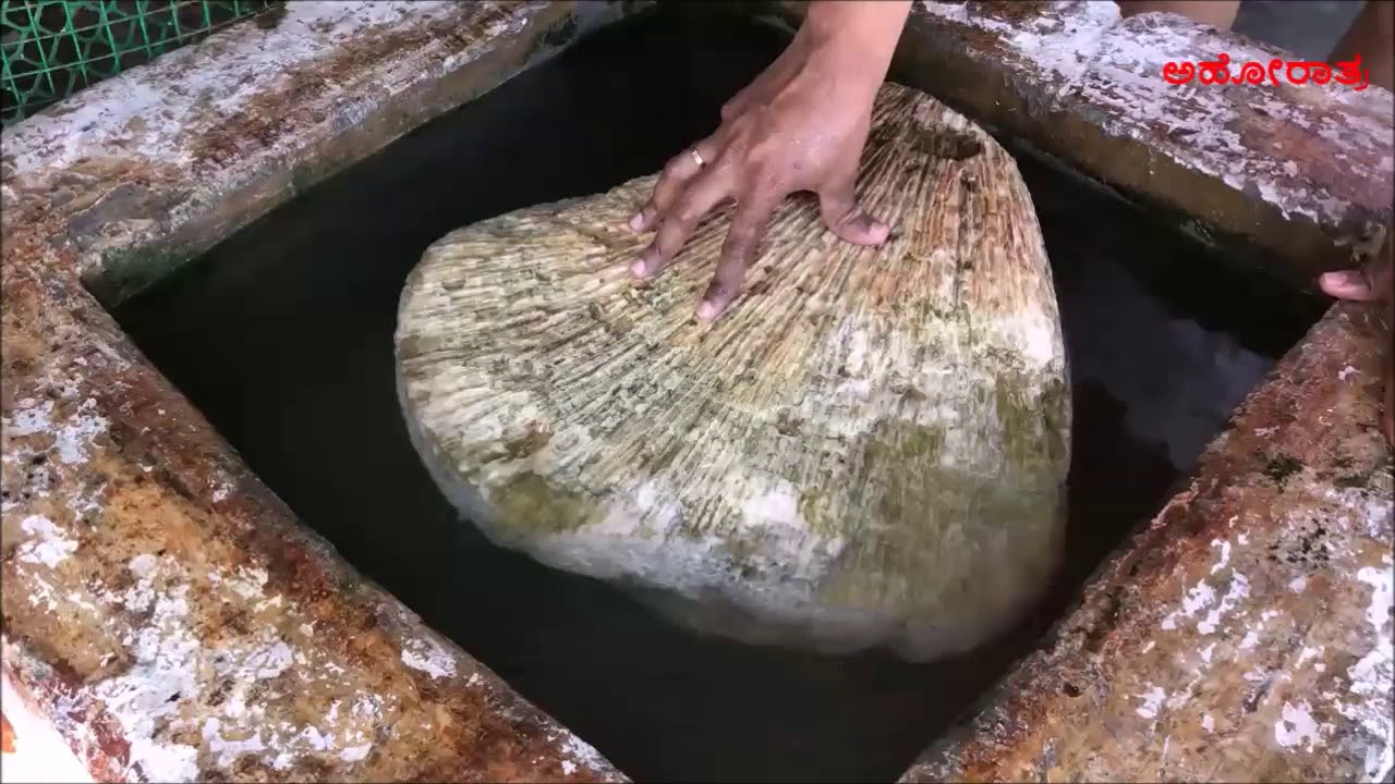 Floating stone used for Rama's Bridge - YouTube