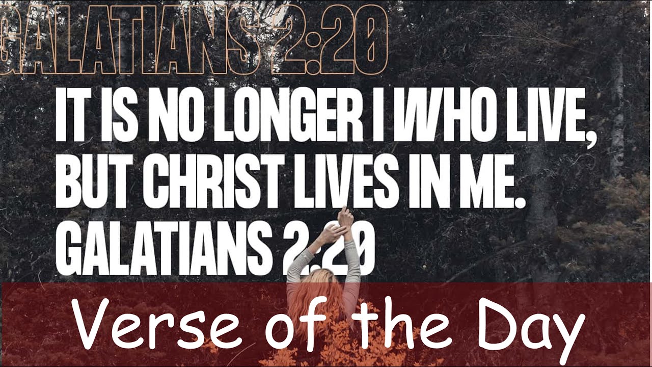 Day 255 Tuesday 12th September 2023 - YouTube