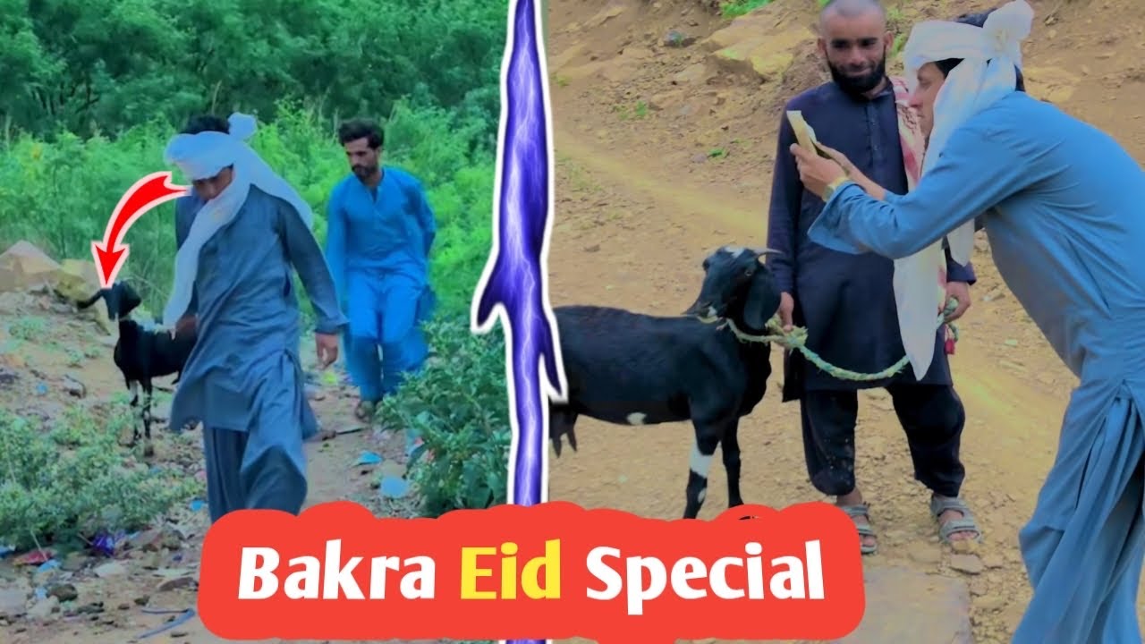 Bakra Eid Special 🤣 || Bakra Eid Comedy - YouTube