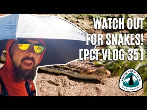Snakes, Heat, and Happy Camping [PCT Vlog 35] - YouTube