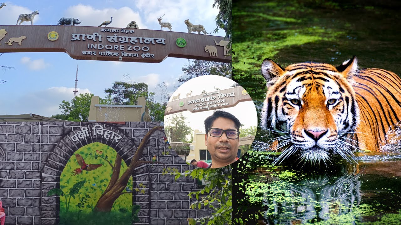Indore Zoo Madhya Pradesh | ZOO | Indore Travel Guide - YouTube
