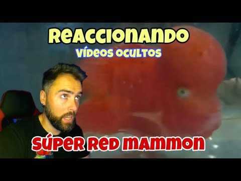 REACCION al SUPER RED MAMMON, videos de TAIWAN. El super PEZ HIBRIDO ...