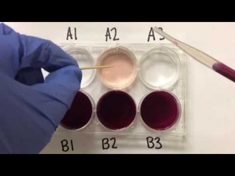 Colorful Oxidation States of Manganese - YouTube